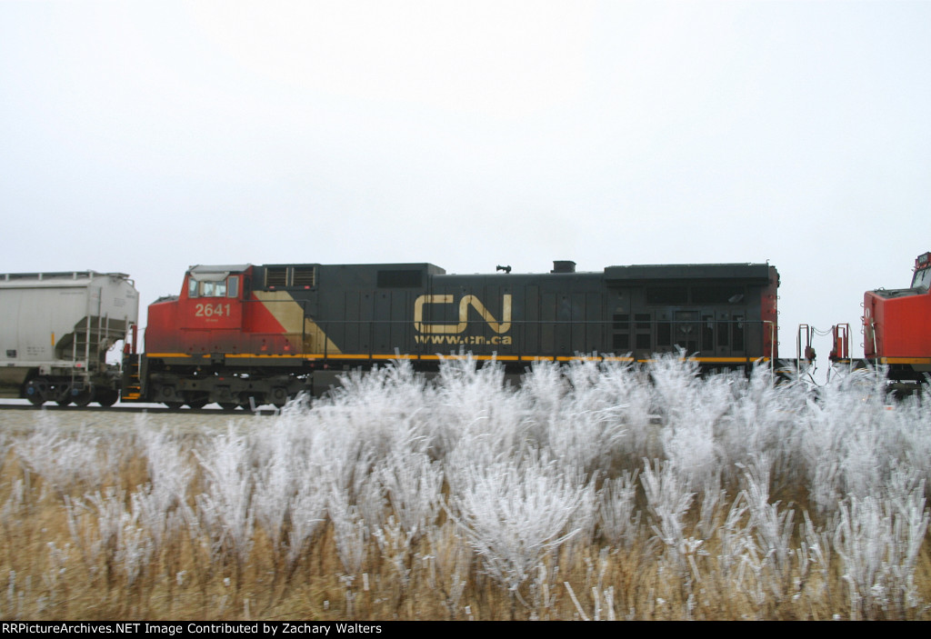 CN 2641